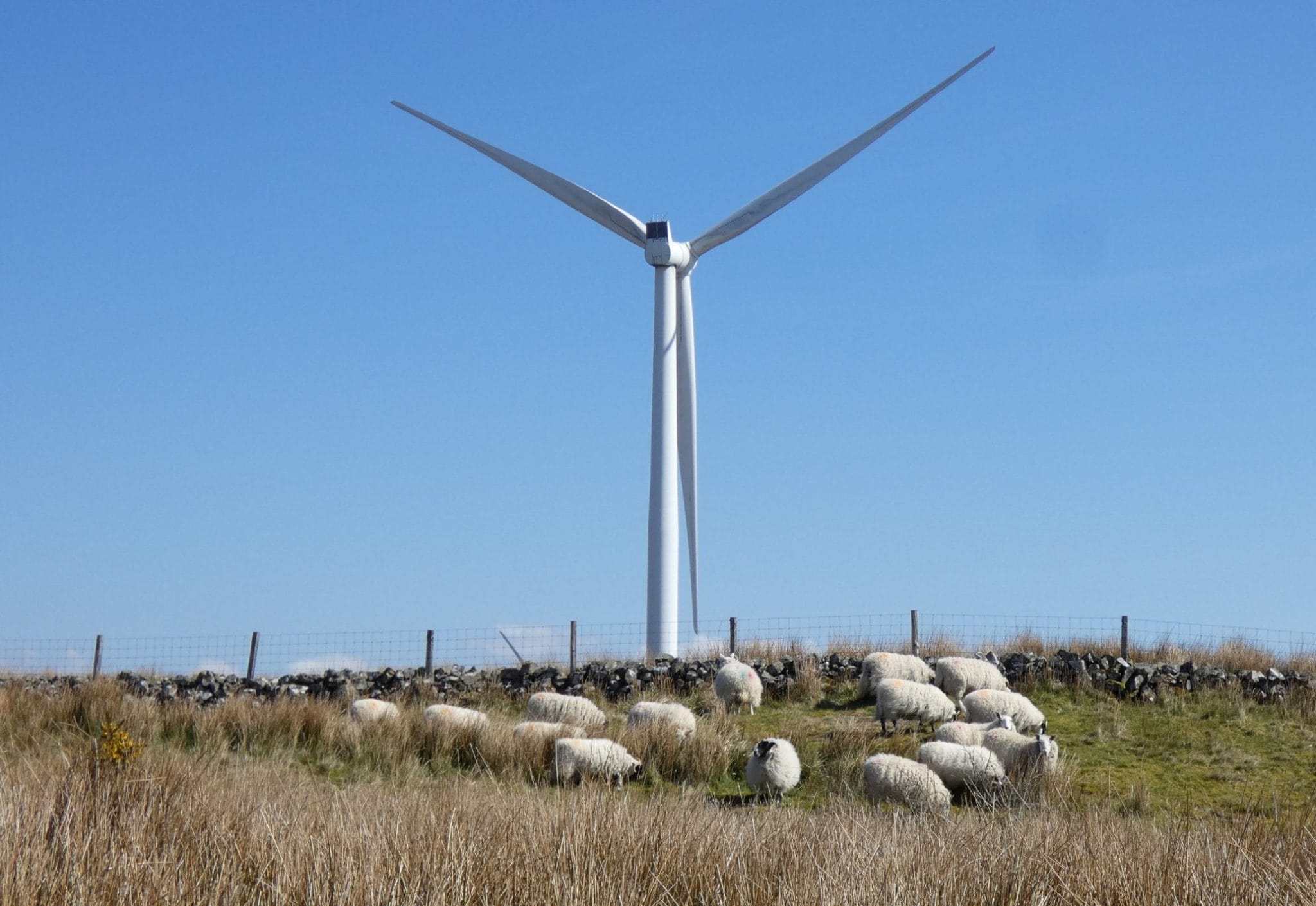 Millour Hill Wind Farm • Community Windpower