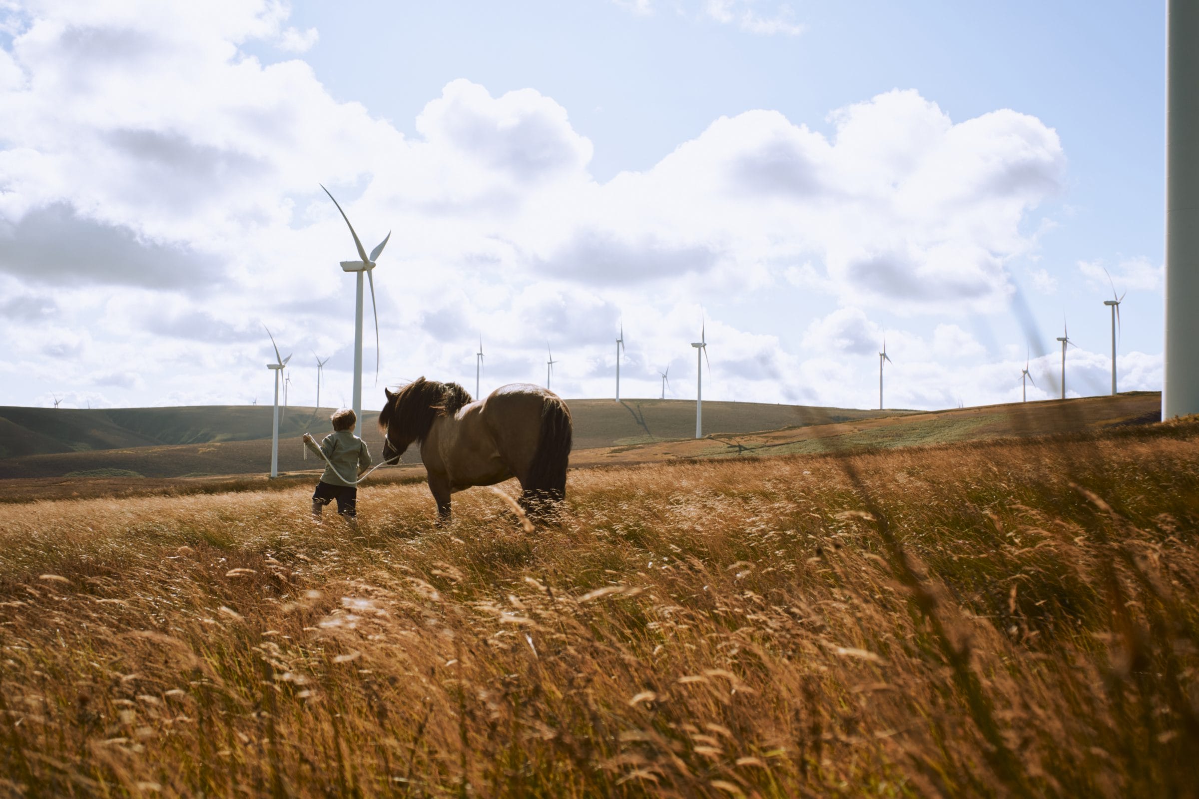 CWP Energy | Wind Farms | Renewable Energy Farms