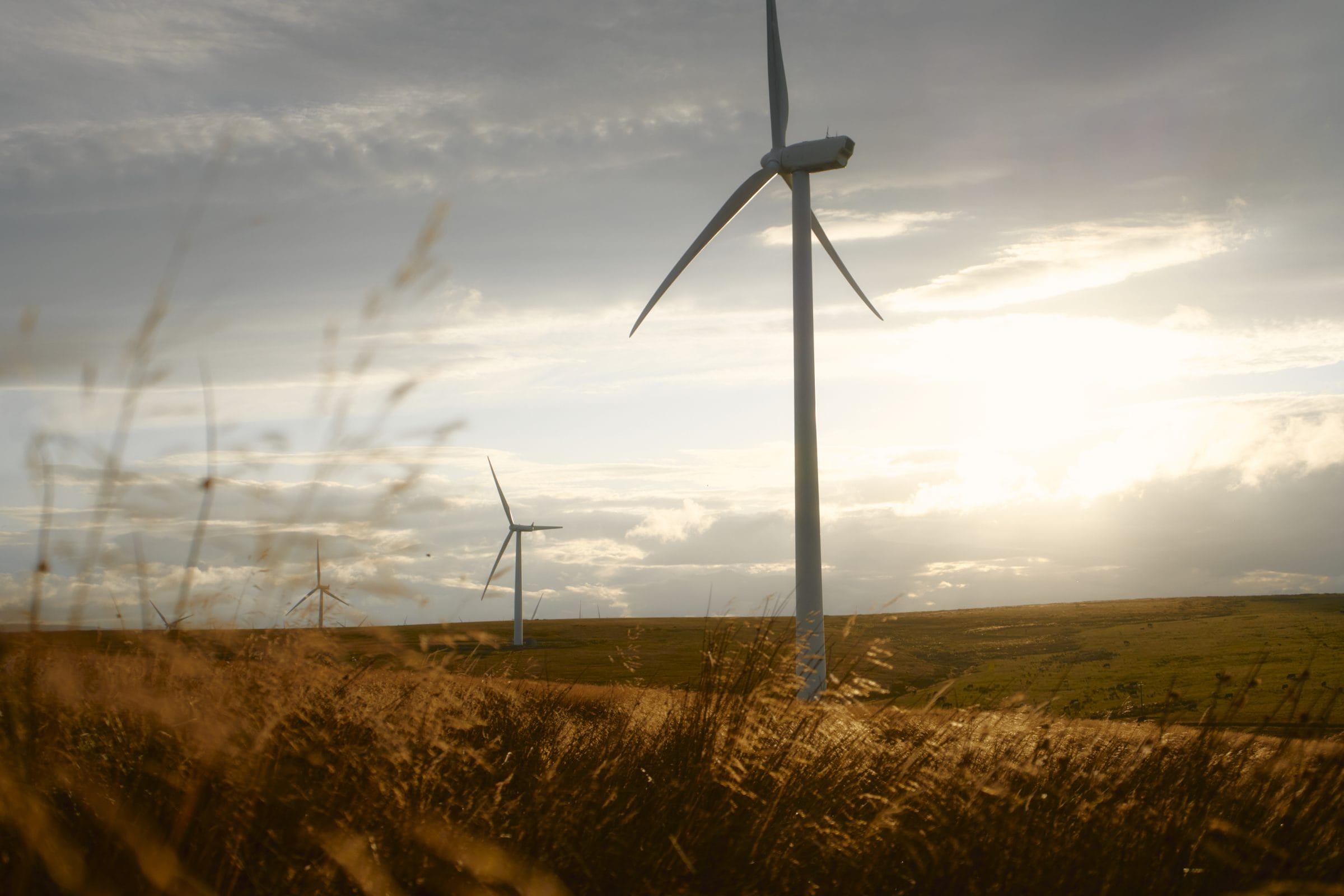 Introducing CWP Energy • CWP Energy