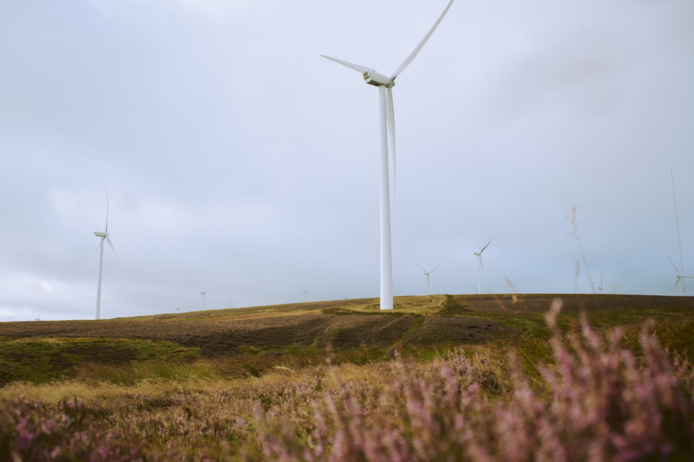 CWP Energy | Wind Farms | Renewable Energy Farms